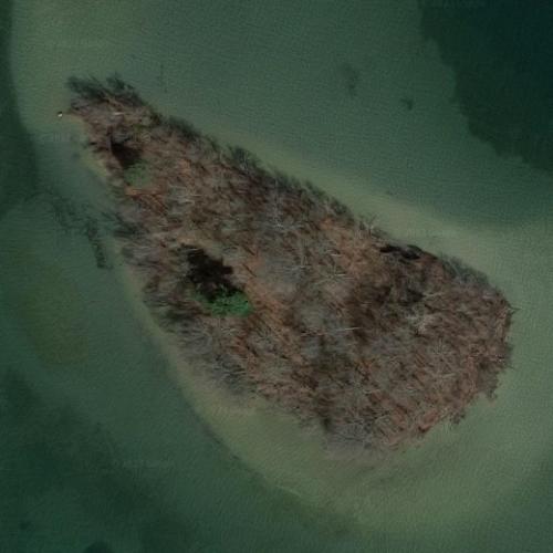 Orangeville Island in Orangeville, MI (Google Maps)