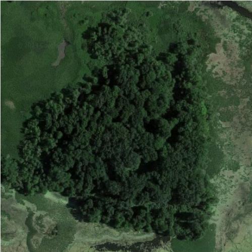 Big Walnut Island in Russells Point, OH (Google Maps)