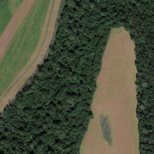 Dogtooth Island in Willard, IL - Virtual Globetrotting