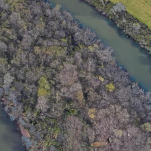 Clinton Island in Clinton, TN - Virtual Globetrotting