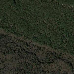 Maple Island in Chesilhurst, NJ - Virtual Globetrotting