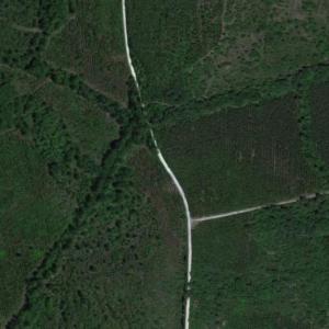 Double Islands in Cogdell, GA - Virtual Globetrotting