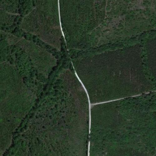 Double Islands in Cogdell, GA - Virtual Globetrotting