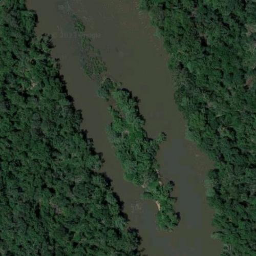 Buzzard Roost Island in Baconton, GA (Google Maps)