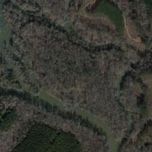 Forty Acre Island in Monticello, GA - Virtual Globetrotting