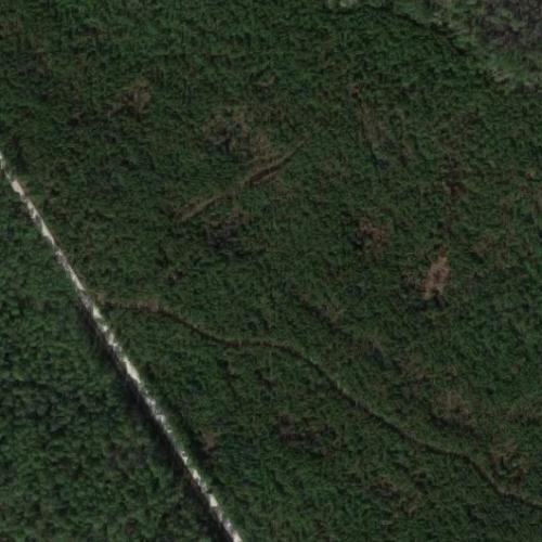 Tiger Island in Woodbine, GA - Virtual Globetrotting