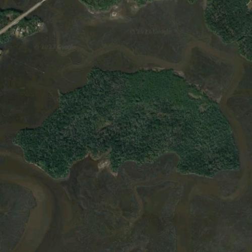 Grover Island in Woodbine, GA (Google Maps)