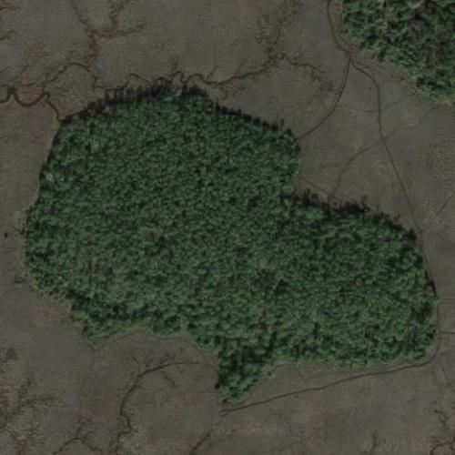 Hull Island in Woodbine, GA (Google Maps)