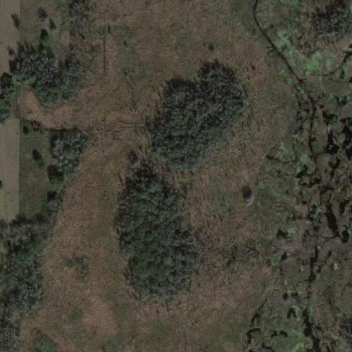 Hixon Island in McIntosh, FL (Google Maps)