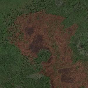 Yonn Island in Greenfield, FL - Virtual Globetrotting