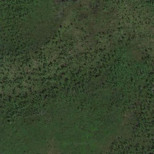 Long Island in Greenfield, FL (Google Maps)