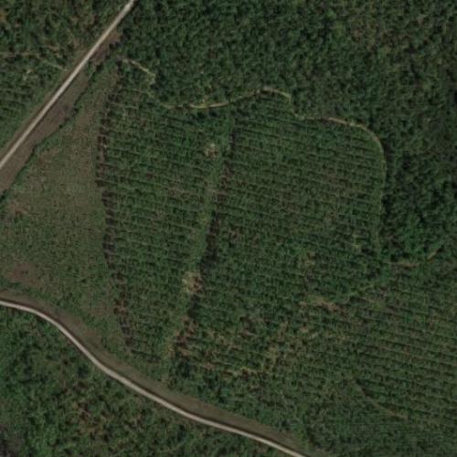 Briar Island in Greenfield, FL (Google Maps) (#2)