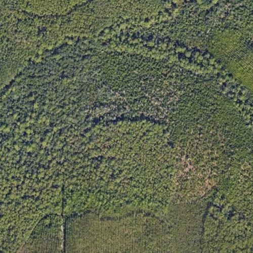 Pitts Island in Callaway, FL (Google Maps)