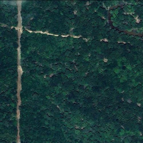 The Island in Diboll, TX (Google Maps) (#4)