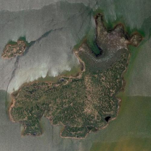 Cattle Island in Lake Kickapoo, TX (Google Maps)