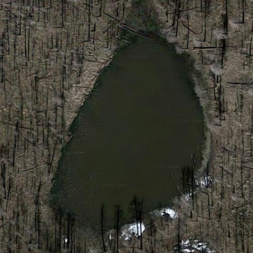 Little Turkey Lake in Mogollon, NM (Google Maps)