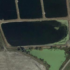 Mallard Pond in Brigham City, UT - Virtual Globetrotting