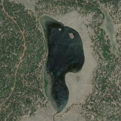 Carnero Lake in Greer, AZ (Google Maps)