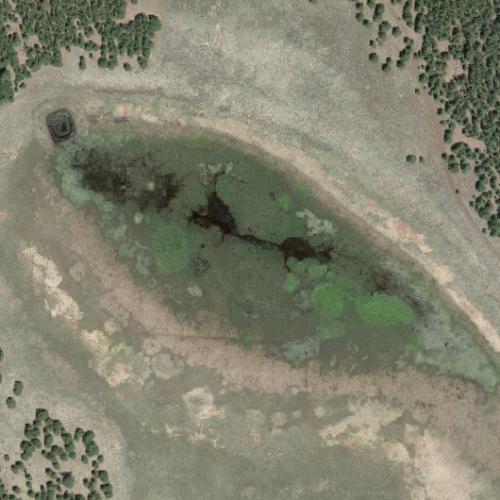 Harris Lake in Vernon, AZ (Google Maps)