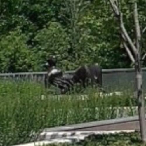 'Draped Reclining Figure' by Henry Moore in Grand Rapids, MI (Google ...