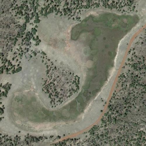 Rogers Marsh in Alpine, AZ (Google Maps)