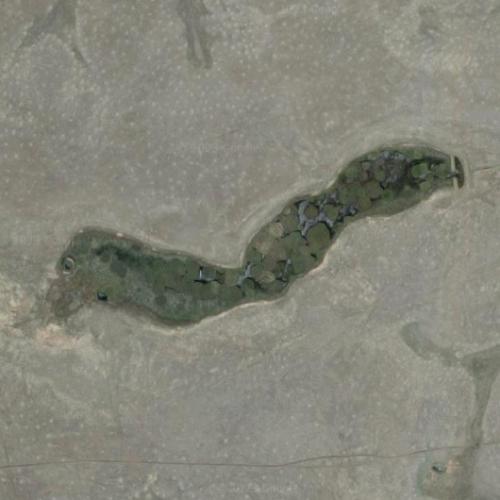 Pool Corral Lake in Greer, AZ (Google Maps)