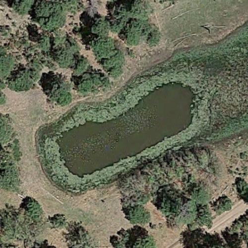 Maverick Lake in East Fork, AZ (Google Maps)