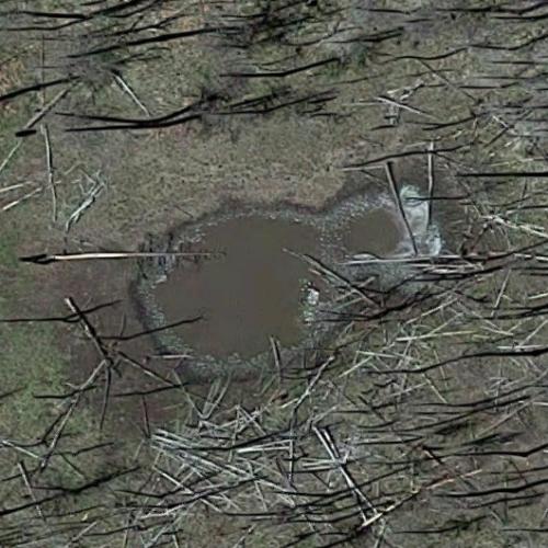 Prime Lake in Alpine, AZ (Google Maps)