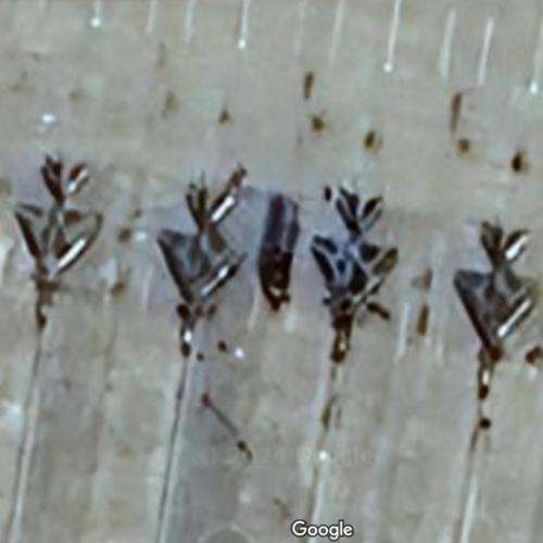Myanmar Air Force Chengdu J-7s in Magway, Myanmar (Google Maps)