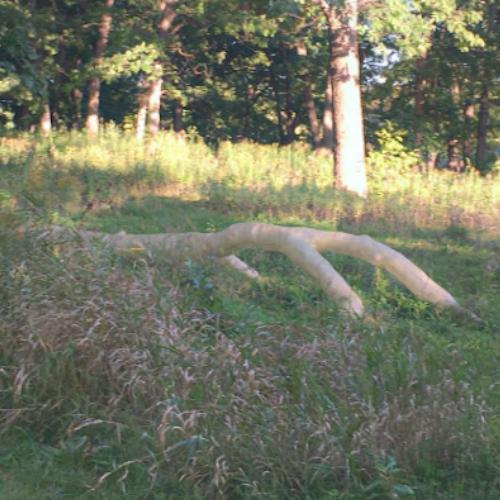 'Still' by Aaron Dysart in Minneapolis, MN - Virtual Globetrotting