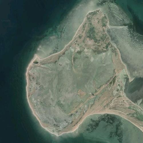 Download google satellite maps - tastebag