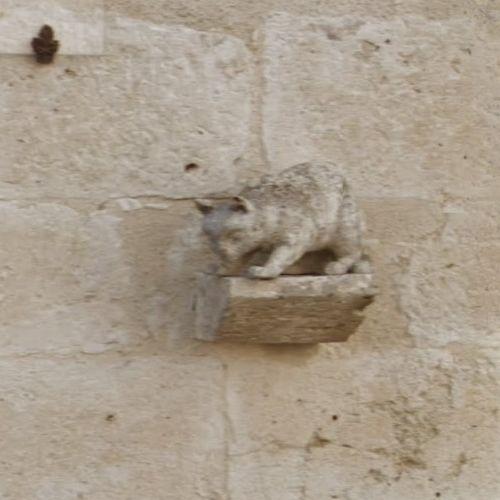 The French village of cats in La Romieu, France - Virtual Globetrotting