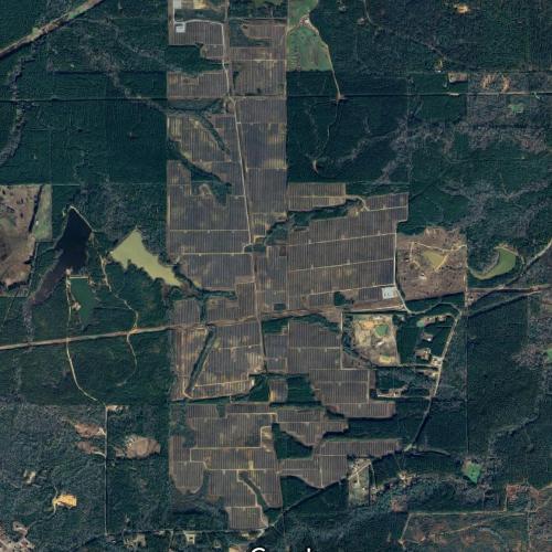 Sumrall Solar Farm in Sumrall, MS (Google Maps)