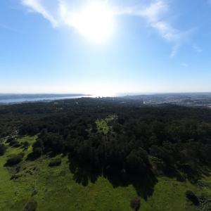 Parque Florestal de Monsanto (total), Lisboa (Monsanto Forest Park ...