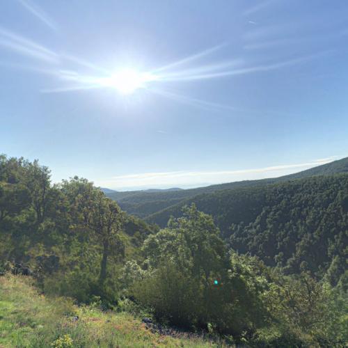 Duna-Ipoly NP (Duna-Ipoly National Park Directorate)(HAFF-004) in ...