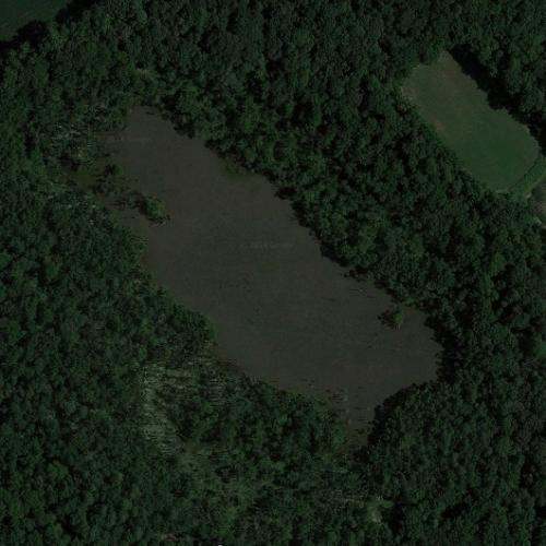 Blind Pond in Milton, DE (Google Maps)