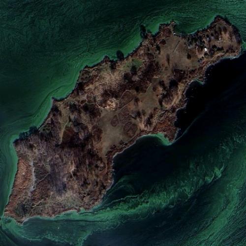 Jackson Island in Rosholt, SD (Google Maps) (#3)