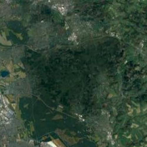 NSG Königsforst Bergisch Gladbach (DLFF-1013) in Bensberg, Germany ...