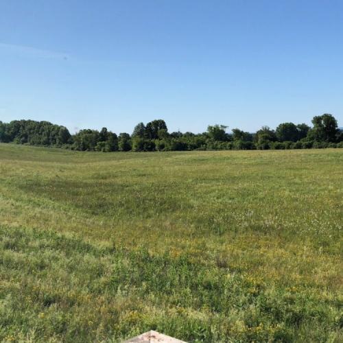 Shawangunk Grasslands National Wildlife Refuge (KFF-0479) in Shawangunk ...