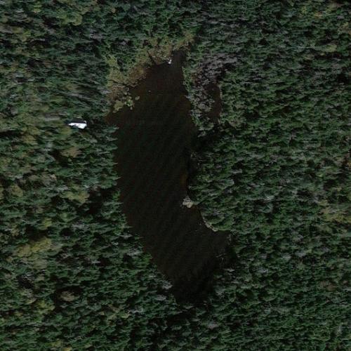 Skylight Pond in Bread Loaf, VT (Google Maps)