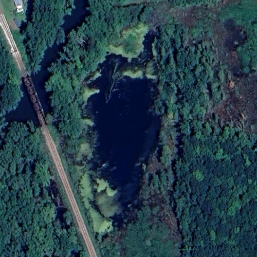 Swamp Pond in Leicester, VT - Virtual Globetrotting