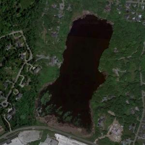 Lily Pond in Newport, RI - Virtual Globetrotting
