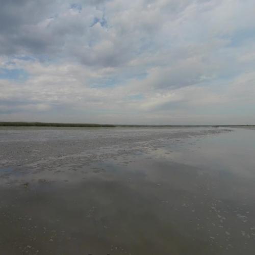 Lake Bile in Mayaki, Ukraine (Google Maps)