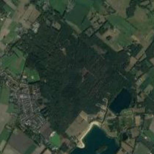 Langenboomse Bossen (PAFF-0248) in Langenboom, Netherlands (Google Maps)