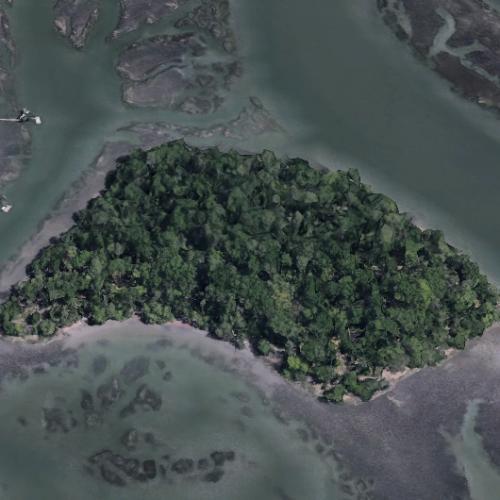Rabbit Island in Beaufort, SC (Google Maps) (#7)