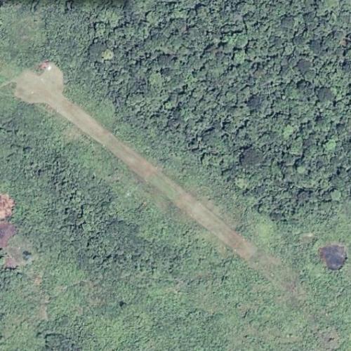 Poeketi Airstrip in Poeketi, Suriname (Google Maps)