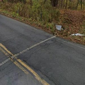 Henry Street salamander tunnels in North Amherst, MA - Virtual ...