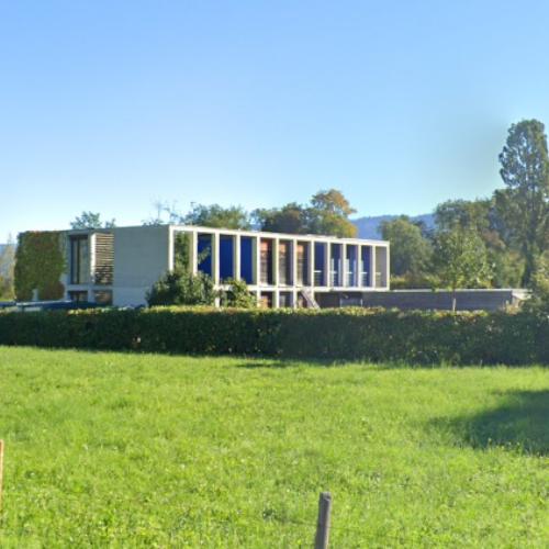 'Hausler House' by Baumschlager & Eberle in Hard, Austria (Google Maps)