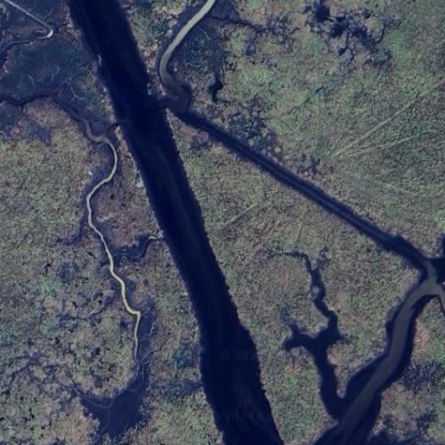 Shark Island in Weeks Island, LA (Google Maps)