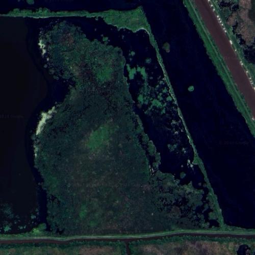 Marklee Island in Intracoastal City, LA (Google Maps)